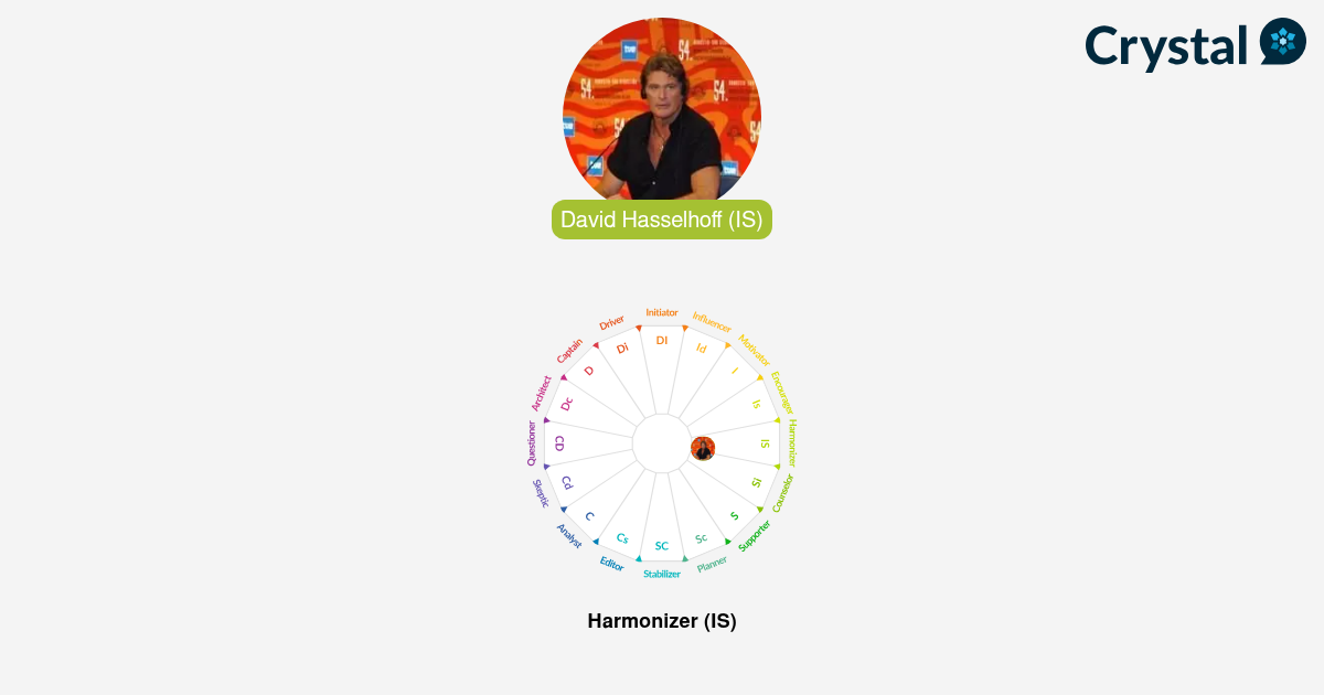David Hasselhoff - Personality Profile