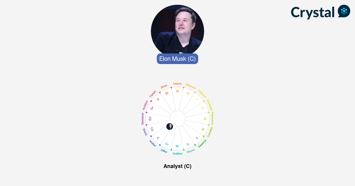 Elon Musk - Personality Profile